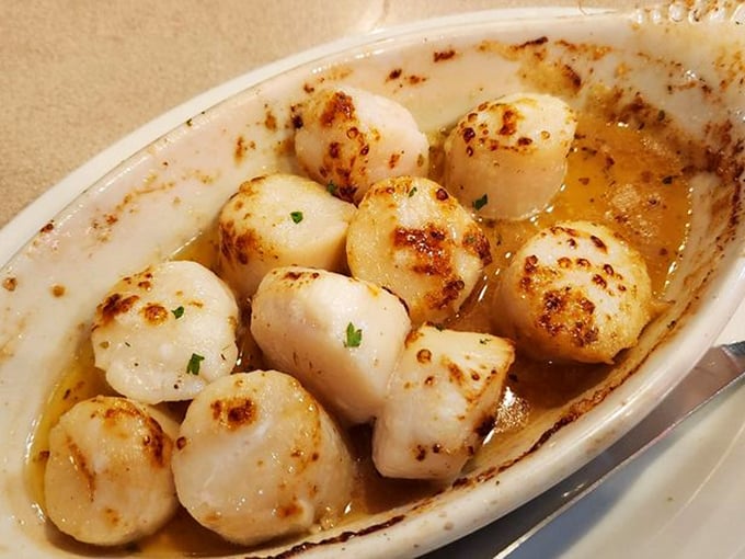 These scallops aren't just cooked, they're respected – perfectly caramelized and swimming in butter that should be illegal in at least seven states.