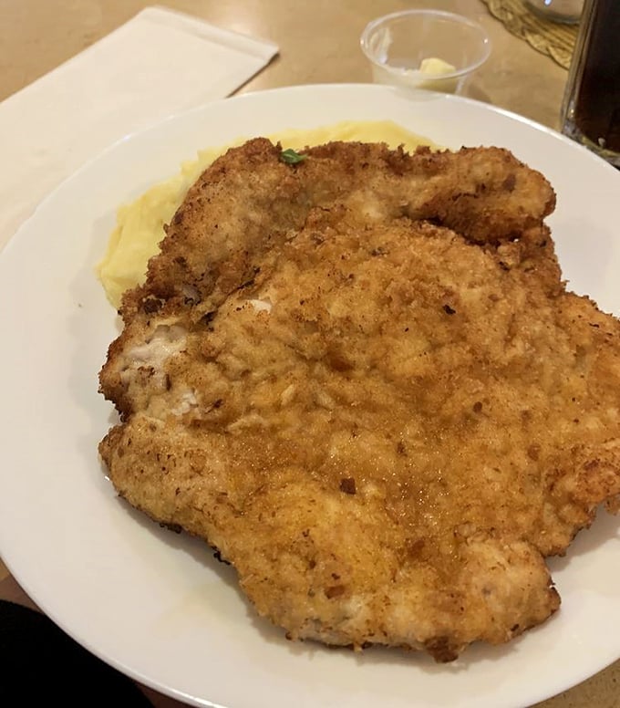 Golden-crusted schnitzel that could make even your cardiologist consider a cheat day – just this once.