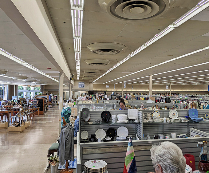 The housewares section displays everything from elegant china to practical plates—each piece waiting to star in your next dinner party.