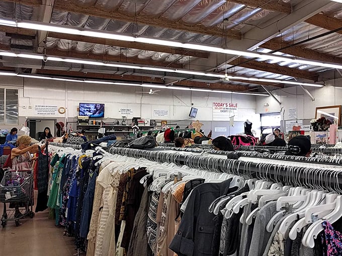The true thrift store experience: strangers united in the universal hunt, each cart telling a different story of discovery.