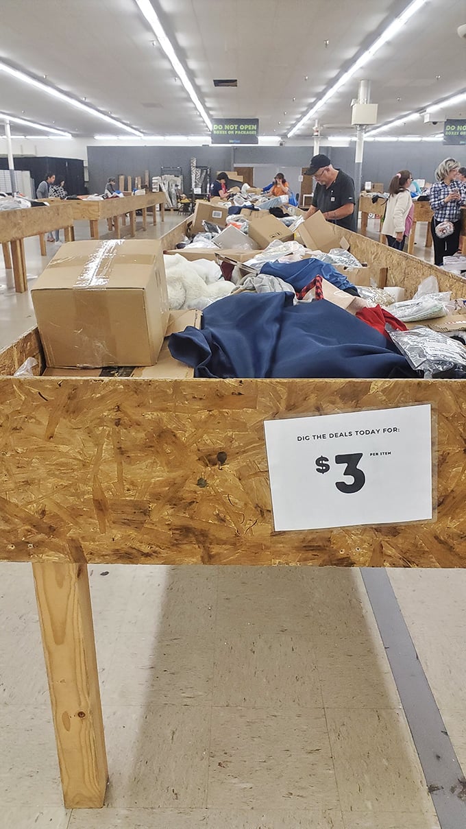 The $3 bin draws shoppers like moths to a flame. At these prices, the thrill isn't just in the find—it's in the mathematical victory over retail markup.