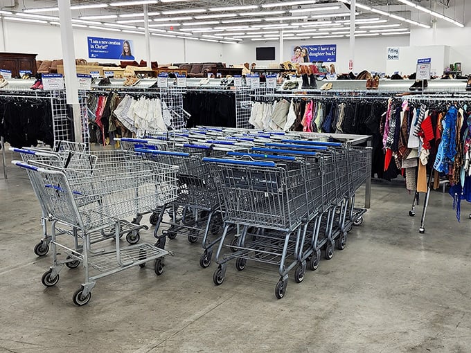 The shopping cart brigade stands ready for action. Choose wisely—that small cart might seem practical until you find that perfect lamp, dress, and unexpected poker table.