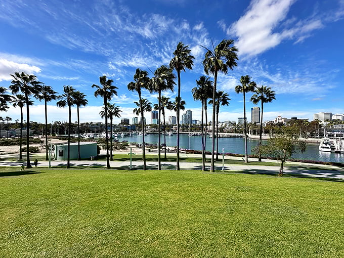Palm trees standing at attention like they're auditioning for a California tourism poster – and honestly, they'd get the job.