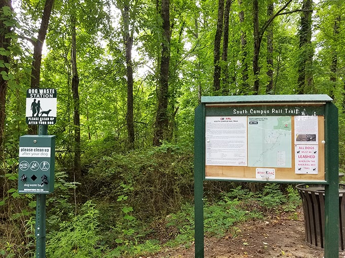 The South Campus Rail Trail beckons with whispered promises of woodland serenity, a green escape where Faulkner's ghost might still wander between the trees.