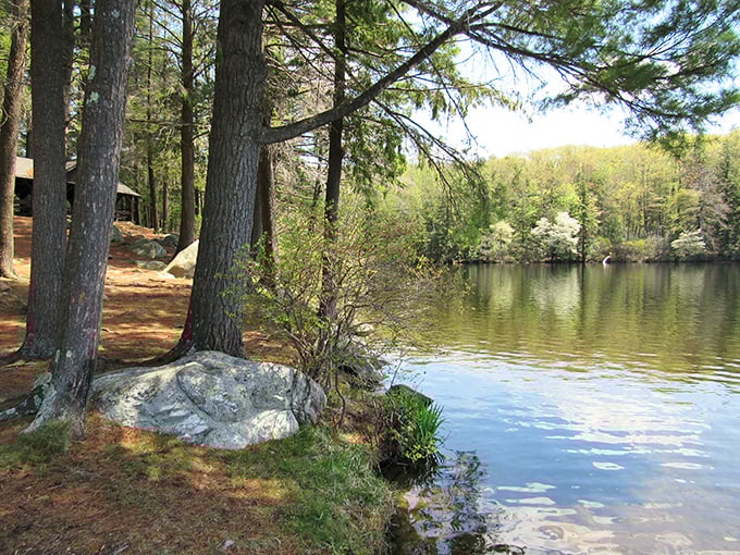 Pine trees frame Burr Pond like nature's own picture frame, no Instagram filter required.
