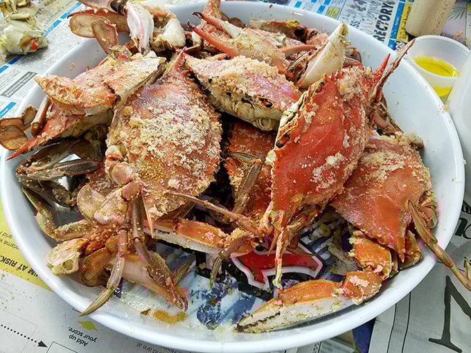Maryland might claim crab supremacy, but these steamed beauties are mounting a delicious Delaware rebellion.