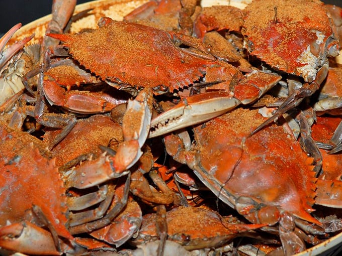 Maryland's famous steamed crabs—where the joy of the meal is measured equally in flavor and the therapeutic satisfaction of wielding a mallet.