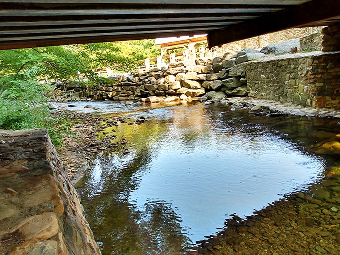 Beneath the bridge, Owens Creek creates nature's soundtrack—a gentle burbling that no meditation app could ever replicate.