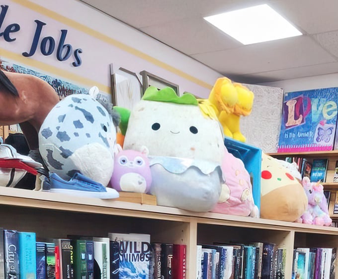 Plush companions waiting for their second chance at love – that smiling avocado might just be your new best friend.