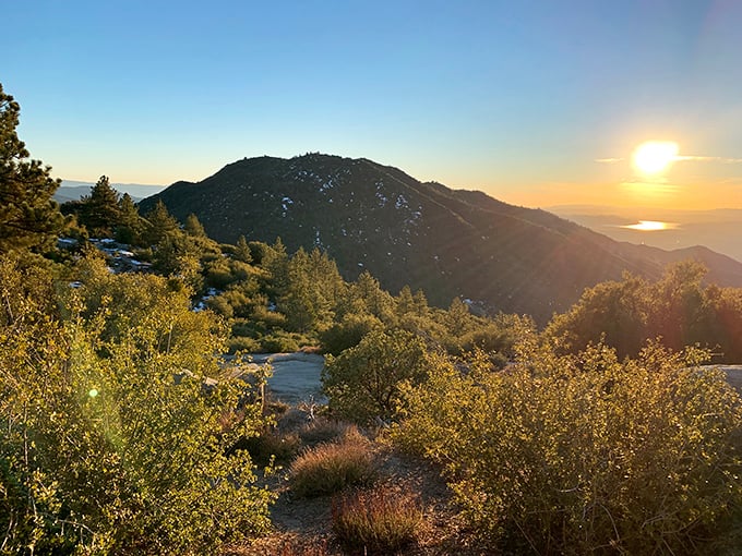 Golden hour at Indian Vista transforms ordinary mountains into extraordinary masterpieces. No filter needed—nature handles the editing.