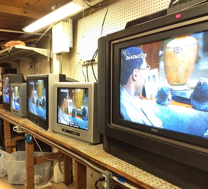 Television time warp! These cathode-ray relics from the pre-flatscreen era still work—probably outlasting whatever "smart" TV you just bought.