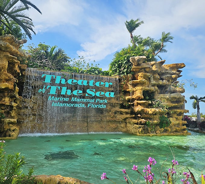 Theater of the Sea's entrance promises aquatic wonders beyond the waterfall. Like Narnia with dolphins and much better weather.