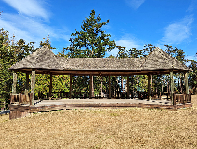 This pavilion has hosted more summer concerts, family reunions, and impromptu dance parties than anyone's keeping track of. The acoustics aren't bad either.