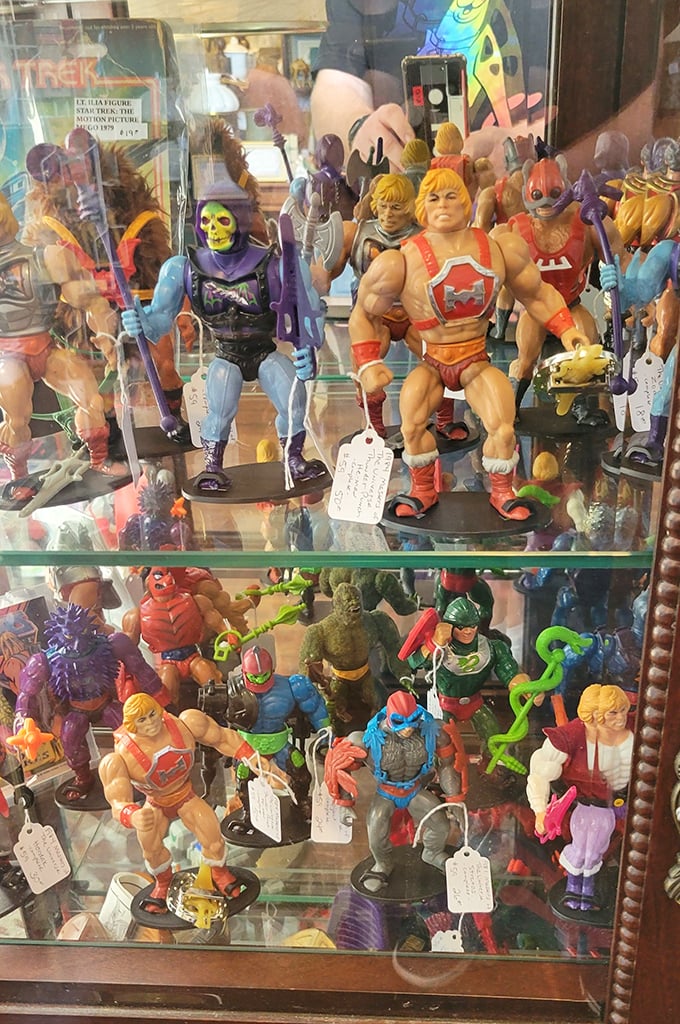 He-Man and Skeletor, frozen in eternal battle behind glass. For Gen-Xers, this display case isn't merchandise—it's a childhood trophy cabinet.