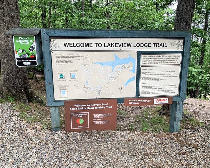 Trail maps: where getting lost is part of the fun. This sign promises heart-healthy adventure without a single burpee required.