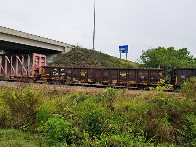 Engineering meets nature as the Seminole Gulf Railway passes beneath modern highways. Two centuries of transportation innovation in one frame. 