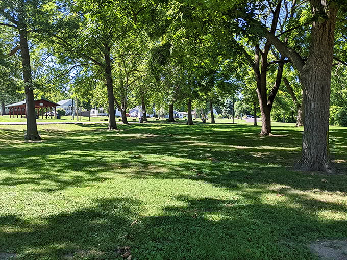 Veterans Park provides a green oasis in the heart of Fulton. Mature trees create dappled shade perfect for picnics, contemplation, or simply escaping the summer heat.