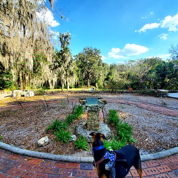 Even four-legged visitors seem mesmerized by the park's historic features, proving that appreciation for beautiful landscapes transcends species.
