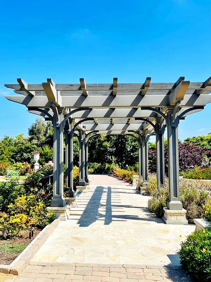 This pergola pathway isn't just a walkway—it's nature's cathedral, where dappled sunlight creates an ever-changing stained glass effect on the stone below.