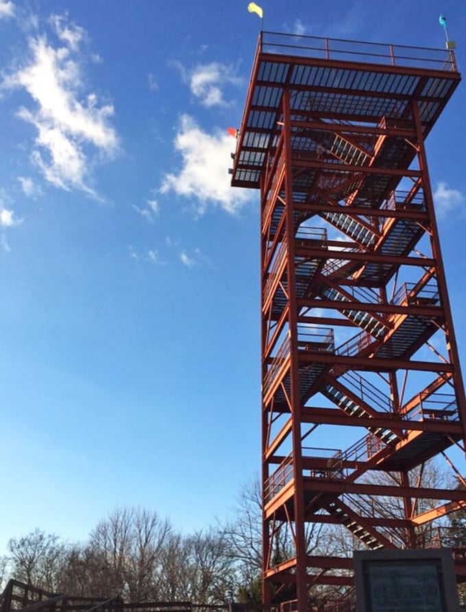 Stairway to heaven: The observation tower promises panoramic views worth every step of the climb. Your Instagram feed will thank you.