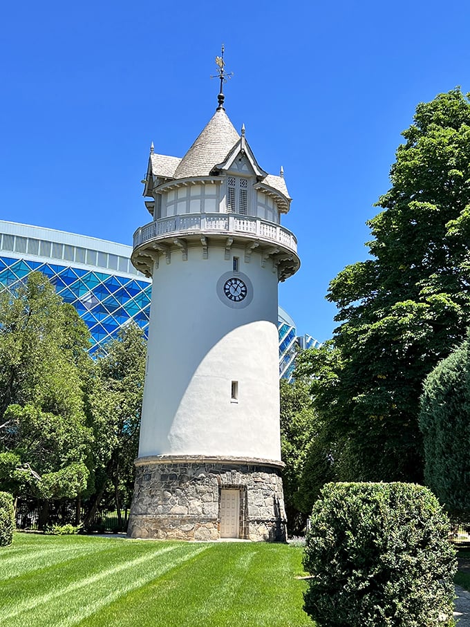 This isn't just a water tower—it's a fairy tale turret that somehow escaped from a Disney movie and landed in Delaware.