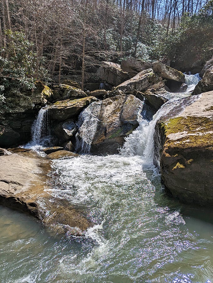 Wolf Creek Falls doesn't just flow—it performs, creating nature's symphony that makes your smartphone playlist seem utterly inadequate by comparison.
