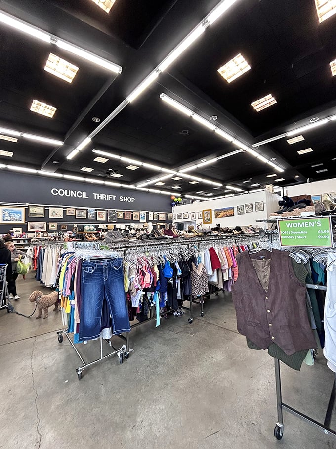 The clothing section stretches toward the horizon like a textile savanna. Note the organized chaos—the natural habitat of the serious thrifter.