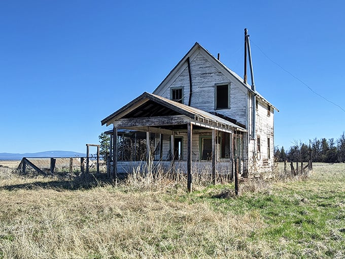 The abandoned farmhouse whispers tales of homesteading dreams, a ghostly reminder of those who once called this wilderness home.