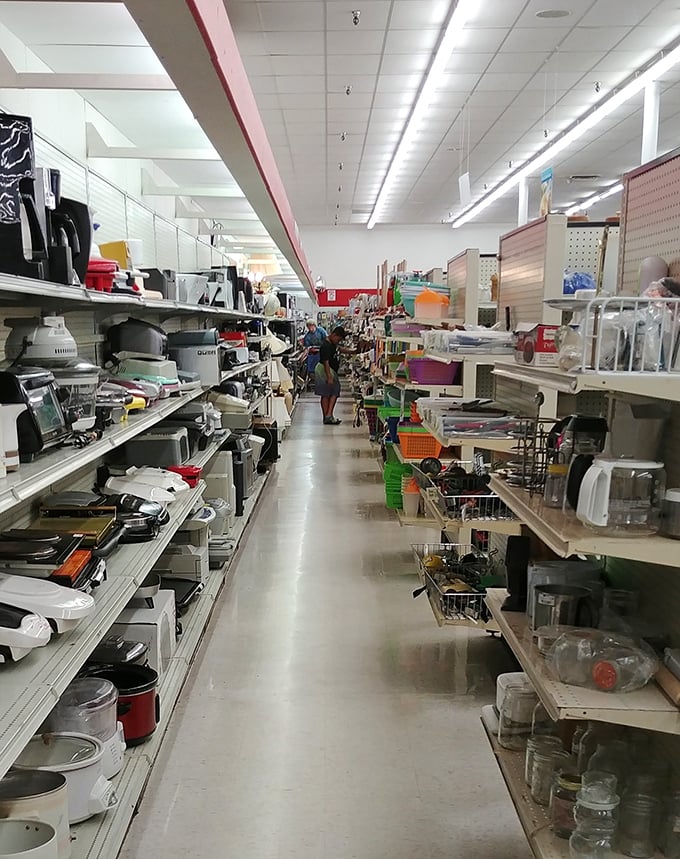 Small appliance heaven stretches as far as the eye can see. Toasters, blenders, and coffee makers—the kitchen gadget graveyard has become a resurrection ground.