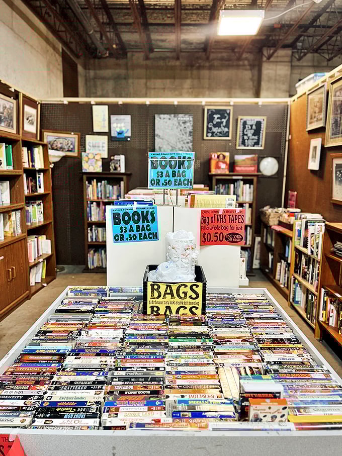 Literary treasures at pocket-change prices! Fill a bag for $3 or cherry-pick at 50 cents each—either way, your bookshelf wins.