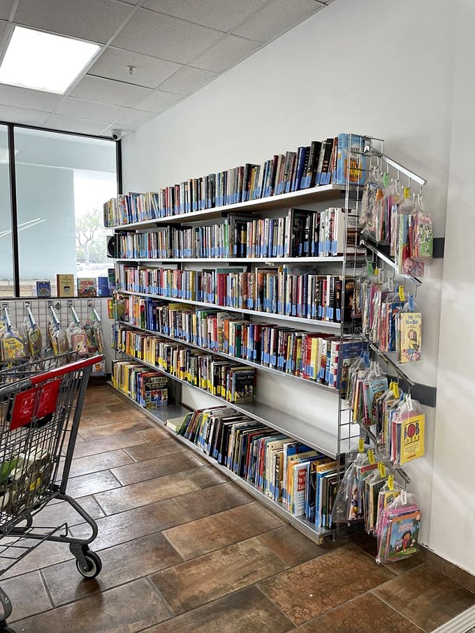 The literary equivalent of a buffet where you can sample everything. DVDs and books stacked like a librarian's dream—or organizational nightmare.