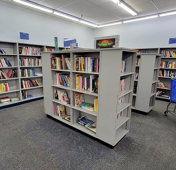 The Book Nook: literary treasures waiting to be discovered. Hardcovers for less than a fancy coffee—now that's a bestselling deal.