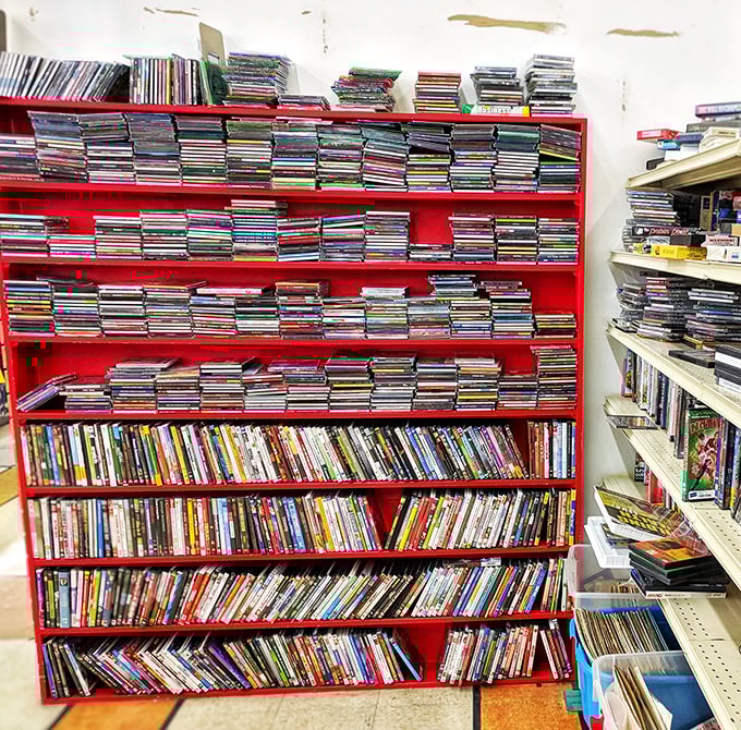 The CD and DVD section—a time capsule where forgotten albums and movies await their second chance at entertaining your houseguests.