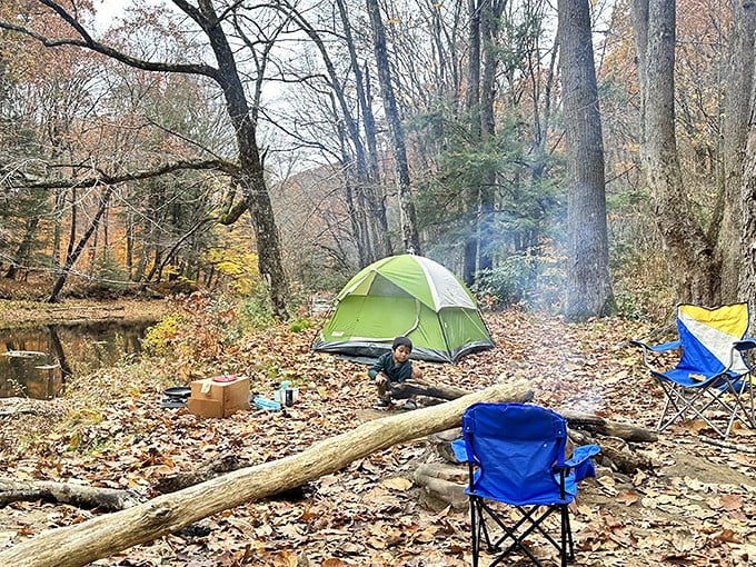 Fall camping at its finest—where the soundtrack is crackling fires and rustling leaves instead of notification pings and conference calls.