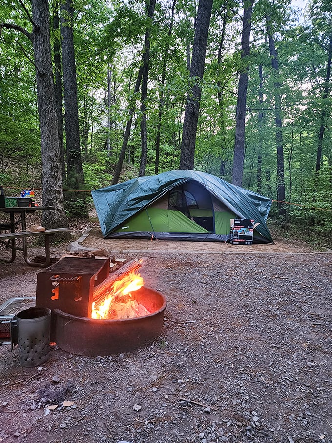 Camping under Pennsylvania's canopy—where stars replace ceiling fans and campfire stories trump Netflix. The original surround sound experience.