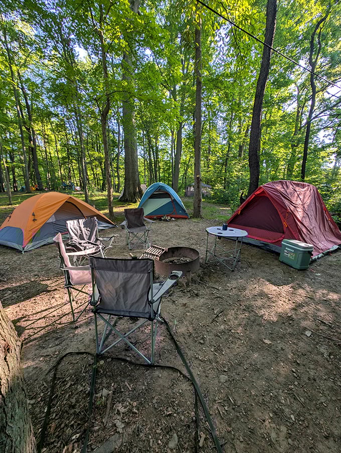 Camping's greatest luxury isn't thread count but star count—these tents offer million-star accommodations no Hilton can match.