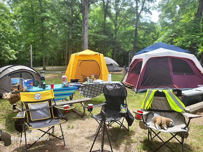 Weekend warriors unite! The park's camping areas transform into temporary neighborhoods where strangers become friends over shared campfires.