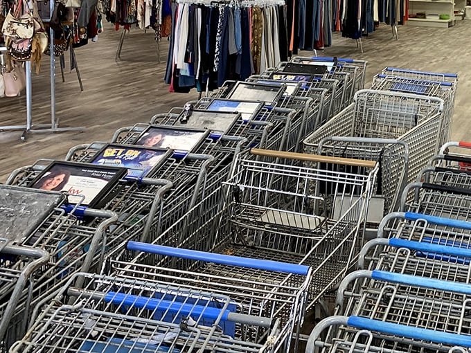 An army of empty shopping carts waits patiently for the day's treasure hunters—each destined to be filled with unexpected finds.