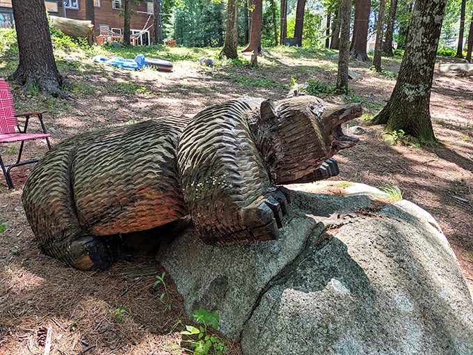This wooden bear sculpture lounges like it's auditioning for a wilderness remake of "The Big Lebowski"—nature's art gallery with pine-scented air conditioning.