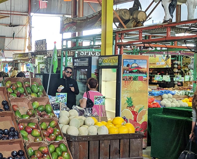 "Organic" isn't just a label here—it's a philosophy. Vendors proudly display their farm-fresh bounty while chatting with curious shoppers.