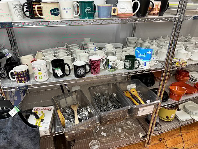 Mug collectors, rejoice! A ceramic menagerie where every coffee vessel has character and your morning brew gets an upgrade for pocket change.