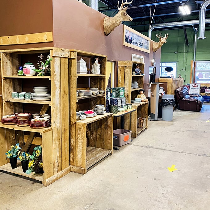 Mounted deer watch over vintage dishware collections – only in West Virginia can your dinnerware shopping come with a side of wilderness ambiance. 