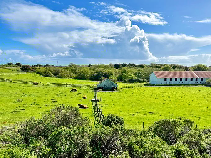 Pastoral perfection with an ocean backdrop—like someone took your childhood storybook farm and gave it prime coastal real estate.