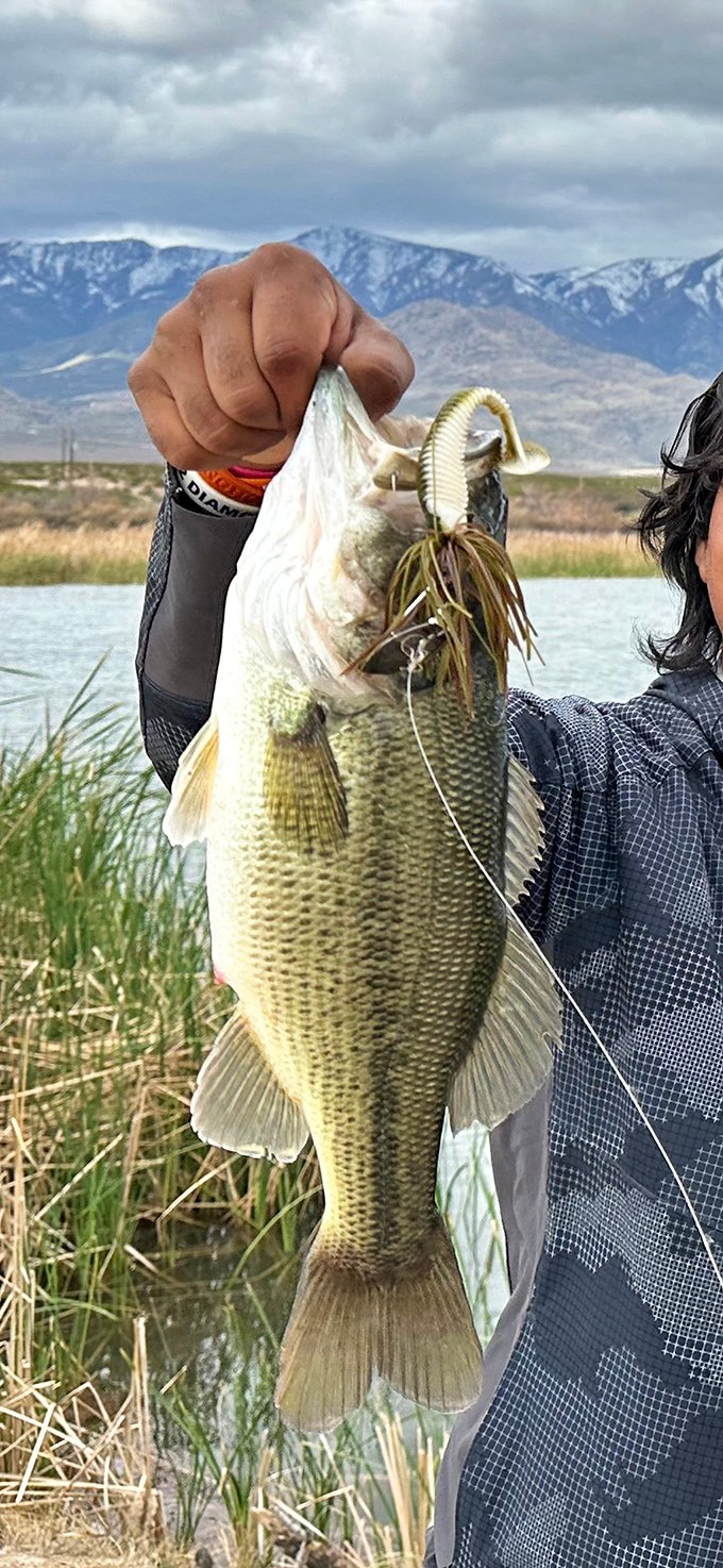 Trophy catch! This impressive bass proves why anglers consider Dankworth Pond their happy place – mountain views included at no extra charge.