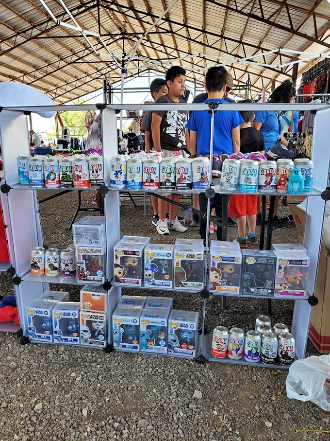 Pop culture paradise! Collectible Funko Pops and Soda figures create a colorful shrine to fandom where nostalgia meets investment opportunity.