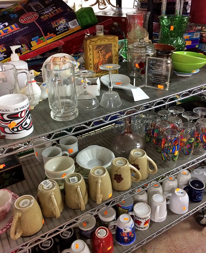 Glassware galore! Each shelf tells a different story—from grandma's fancy punch bowl to that perfect mug for your morning coffee ritual.