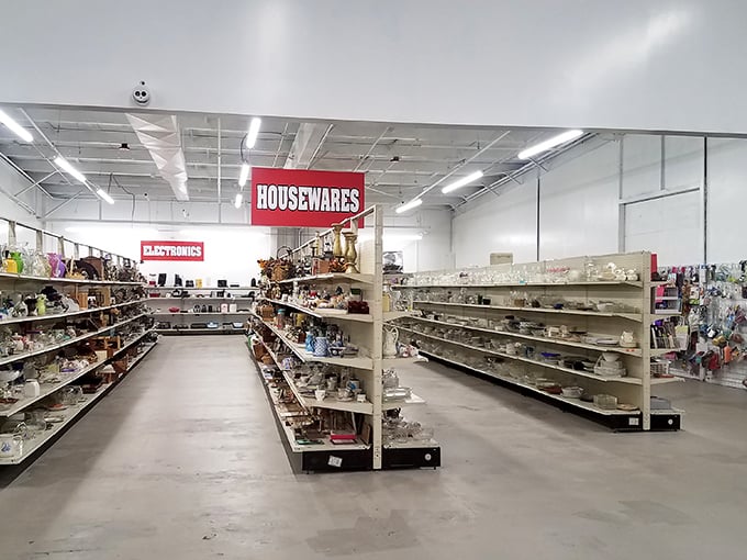 The housewares aisle—where forgotten kitchen gadgets and once-cherished china come to find their next culinary adventure. Marie Kondo's nightmare, your treasure trove!