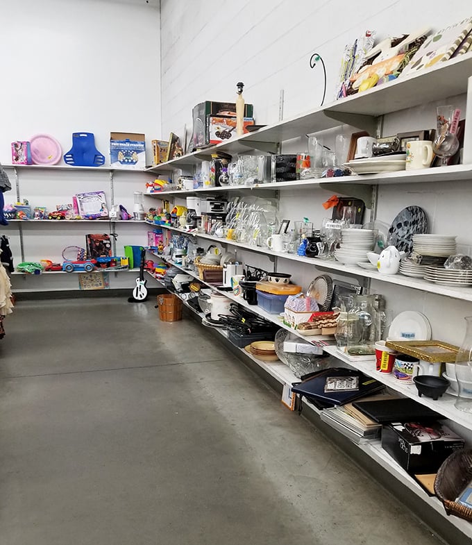 A corner of kitchen dreams where mismatched plates and forgotten gadgets find new purpose in budget-conscious homes.