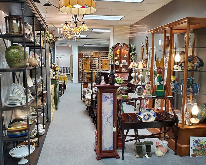 Aisles of organized chaos create the perfect treasure hunt – somewhere between these shelves is the missing piece to someone's collection.