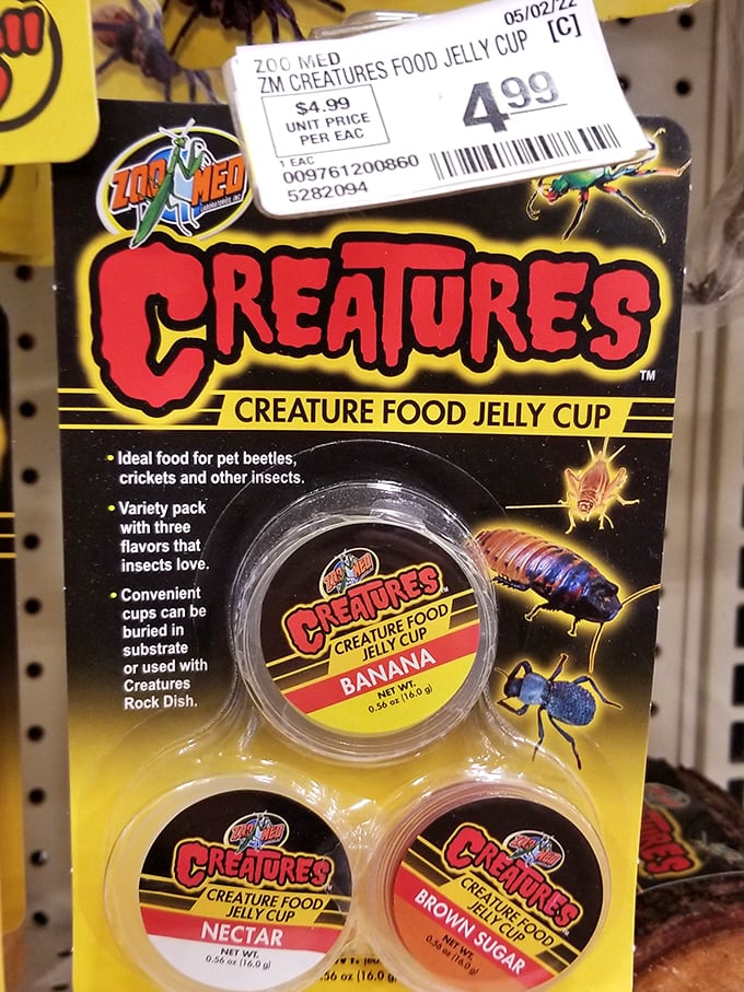 Wait, is that lizard food jelly cups? This place stocks items you never knew existed.